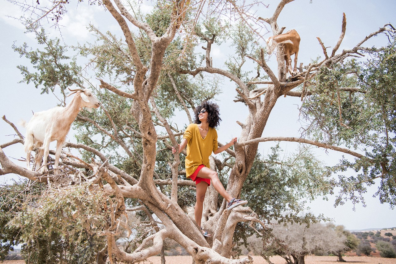 Adventure - Josh Letchworth